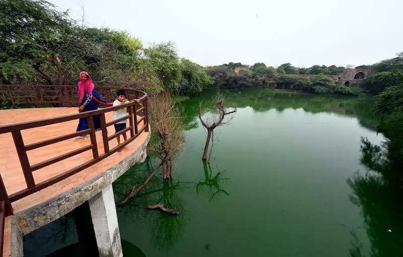 Saket, New Delhi: Map, Property Rates, Projects, Photos, Reviews, Info