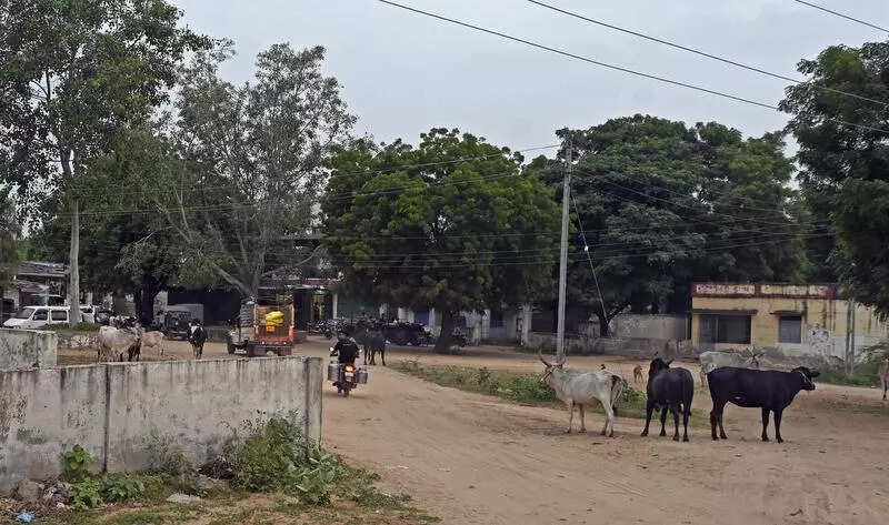 Meghani Nagar, Ahmedabad: Map, Property Rates, Projects, Photos ...