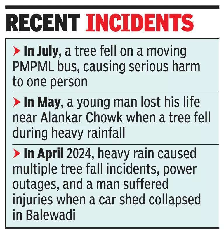 NIBM Road, Pune: Map, Property Rates, Projects, Photos, Reviews, Info