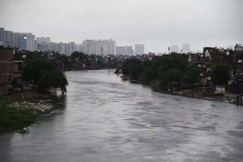 Hosiery Complex, Noida: Map, Property Rates, Projects, Photos, Reviews ...