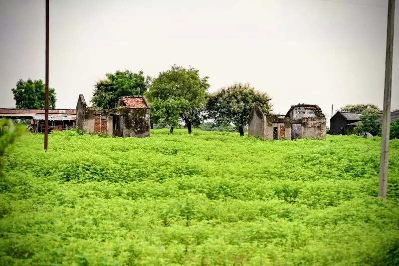 Hingna, Nagpur: Map, Property Rates, Projects, Photos, Reviews, Info