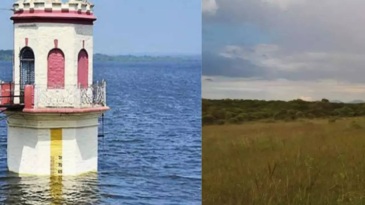 Chikkajala, Bangalore: Map, Property Rates, Projects, Photos, Reviews, Info