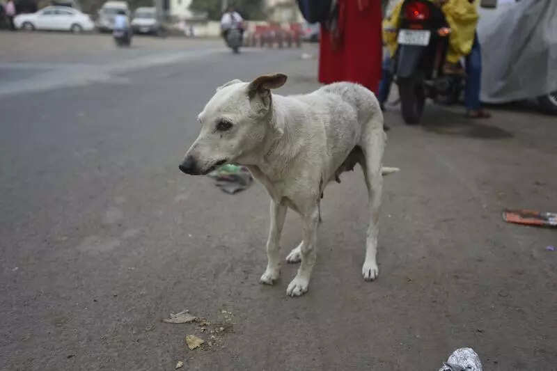 Mahalunge Ingale, Pune: Map, Property Rates, Projects, Photos, Reviews ...