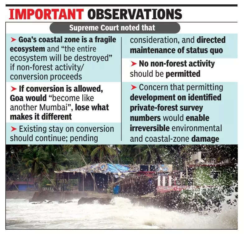 SC: Any unchecked devpt could turn Goa into ‘another Mumbai’ | Goa News ...