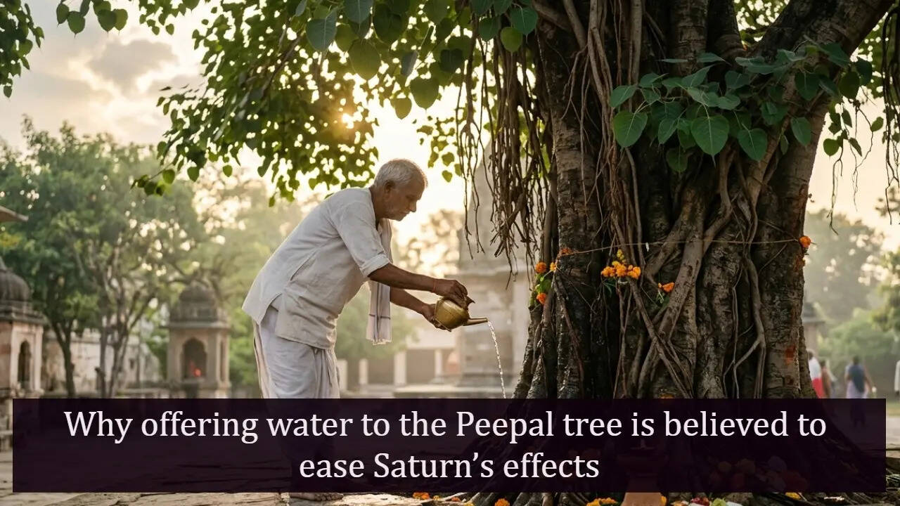 Newsbundleonline.com | Saturn And Peepal Ritual: Vedic beliefs link ...