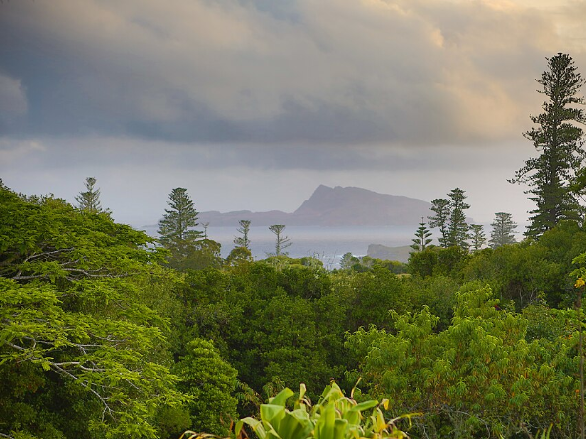 In 2018, a stone found on Norfolk Island led to evidence of ancient ...