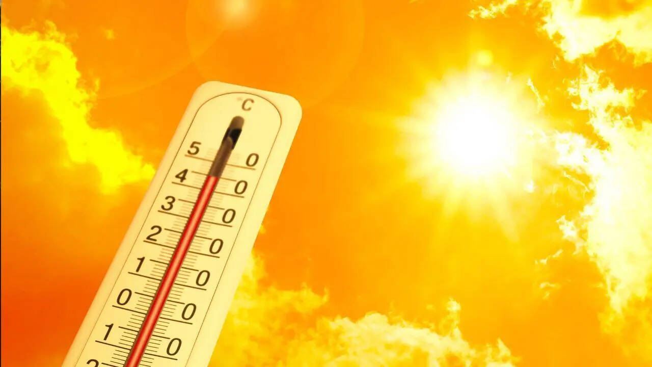 Why the 8-glasses of water a day rule fails as heatwave surges - The ...