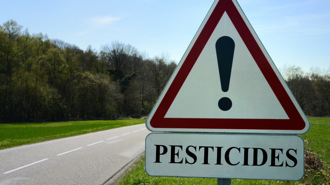Methamidophos Exposure: China rejects Indian chilli over pesticide ...