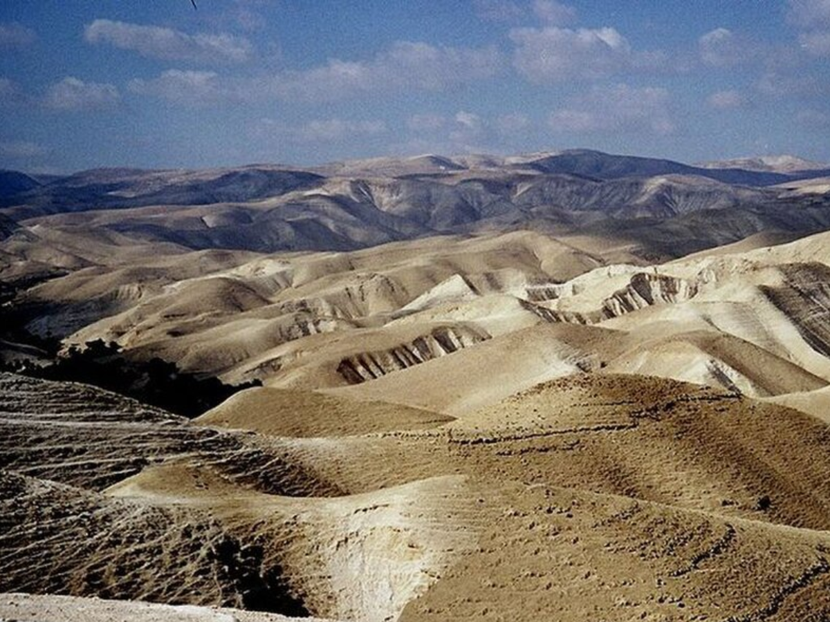 In 1947, a shepherd threw a stone into a cave and uncovered one of ...