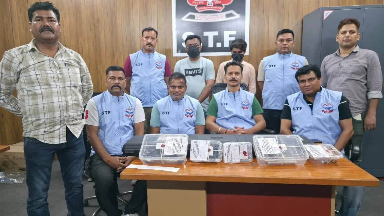 STF nabs 4 more in fake arms licence racket | Dehradun News - The Times ...