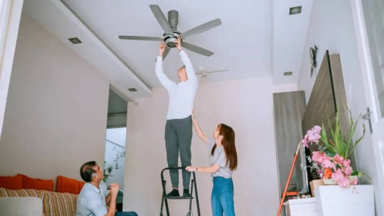 Ceiling Fan Cleaning Tips: How to clean your ceiling fan properly (And ...