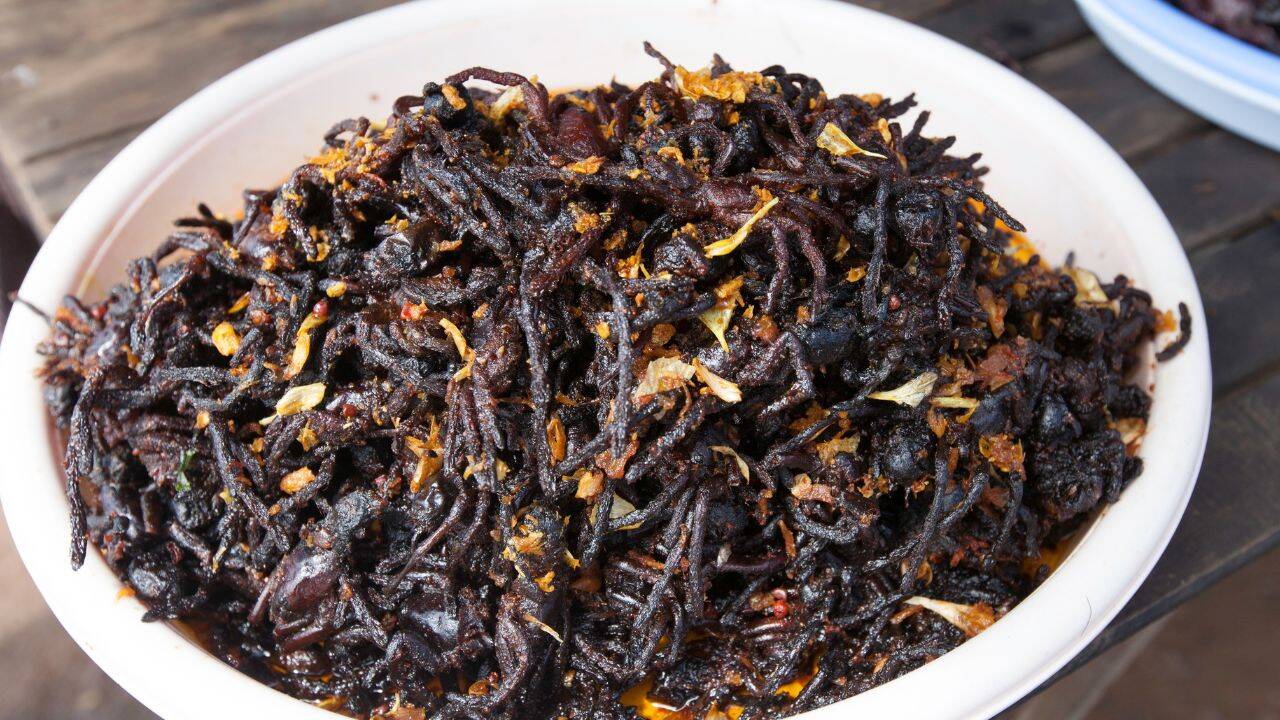 Would you eat spiders? The bizarre reason people love this crispy ...