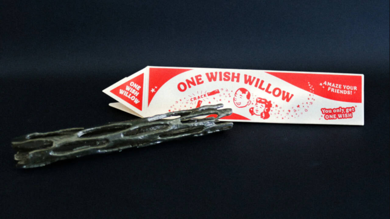 One Wish Willow: The viral 'One Wish Willow' trend explained: Why the ...