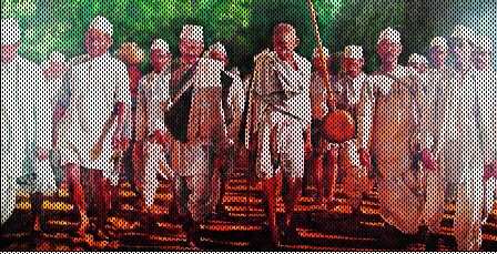 Return gift: US team to help save Dandi trail | India News - Times of India