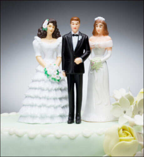 Polygamy is key to longevity! - Times of India