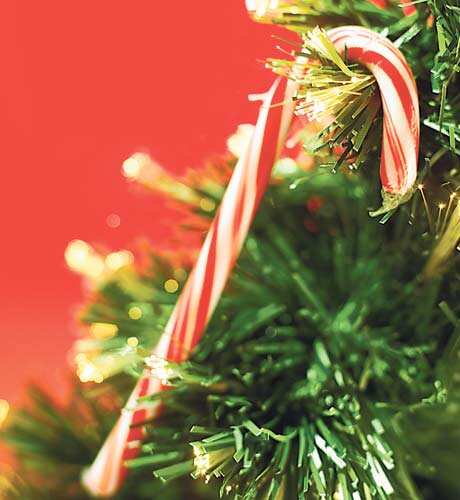 Help yourself to those candy canes - Times of India