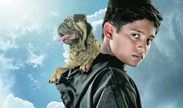 Little Superman 3D Movie Review {1/5}: Critic Review of Little Superman ...