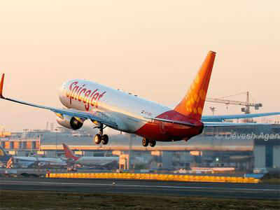 SpiceJet extends complimentary meal on premium tickets - Times of India