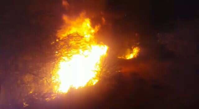 Major fire breaks out at Agra's bird sanctuary, hundreds of birds and ...