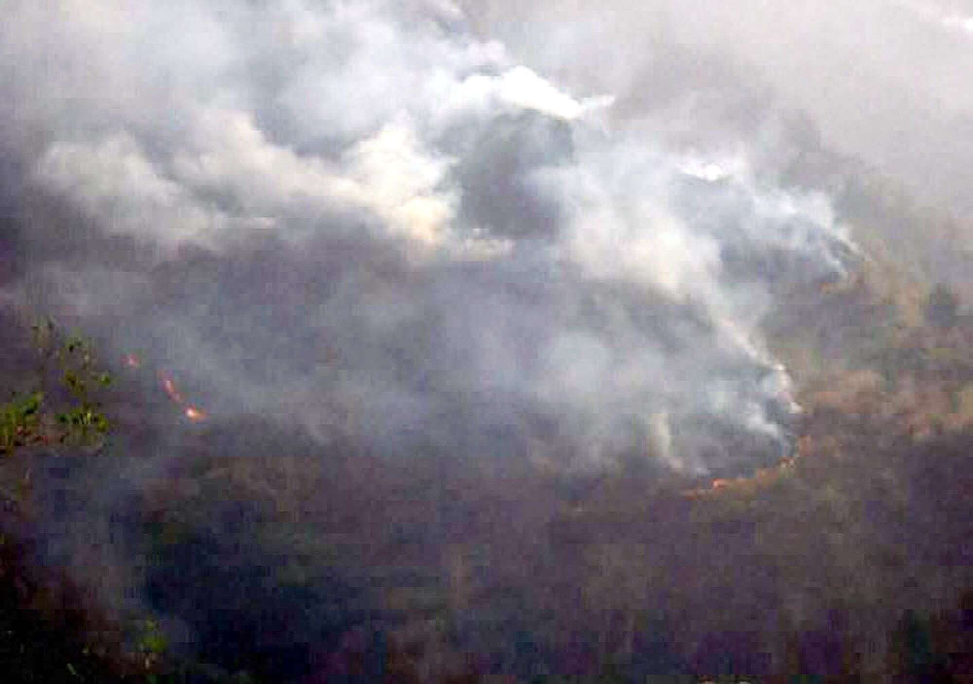 Uttarakhand forest fires: Natural or motivated? | India News - Times of ...
