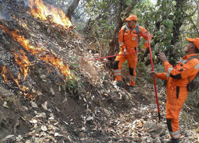 Uttarakhand forest fires: 10 things to know - The Times of India