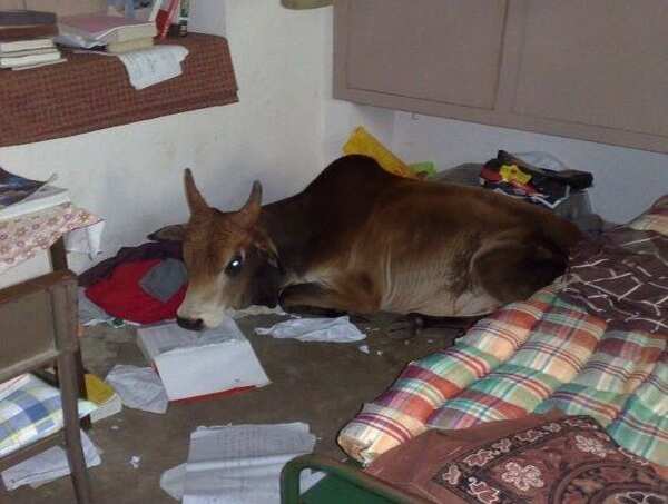 Social Humour: Memes on Hostel Life that will make your day - The Times ...