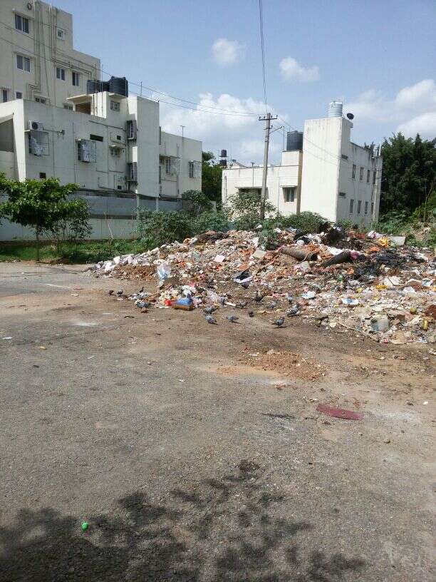 Filthy area Jalabhavan road, N.A.L Layout, - Times of India