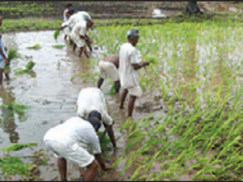 mainstreaming criminals: Thane jailbirds may soon man petrol pump ...