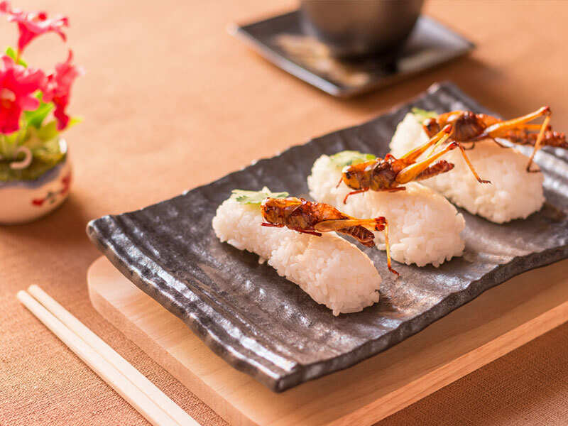 These insects are actually popular delicacies around the world