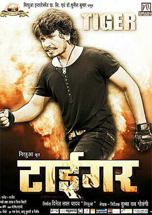 Tiger Movie: Showtimes, Review, Songs, Trailer, Posters, News & Videos ...