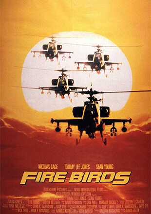 Fire Birds Movie: Showtimes, Review, Songs, Trailer, Posters, News ...