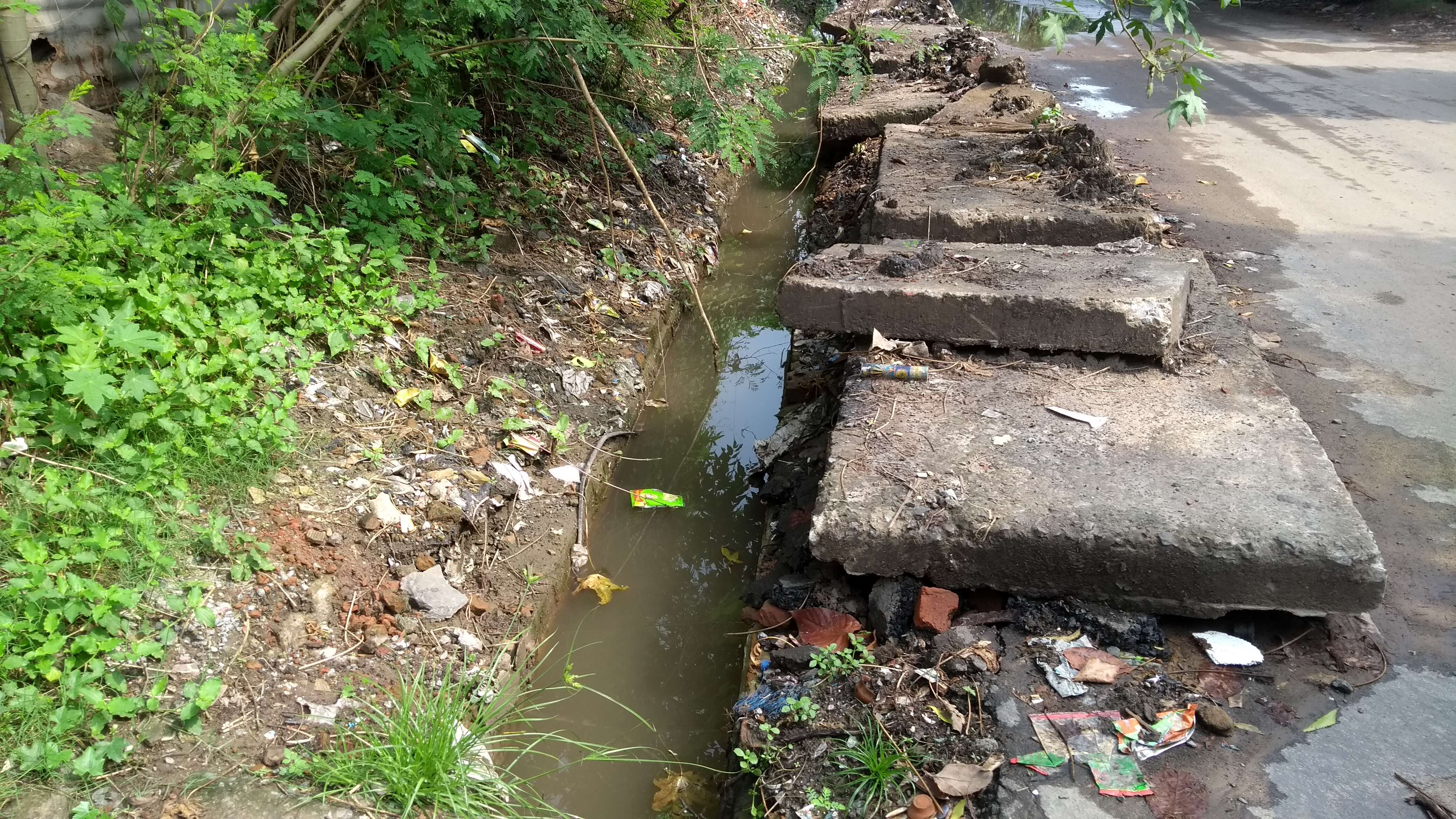 Water accumulation and garbage - Times of India