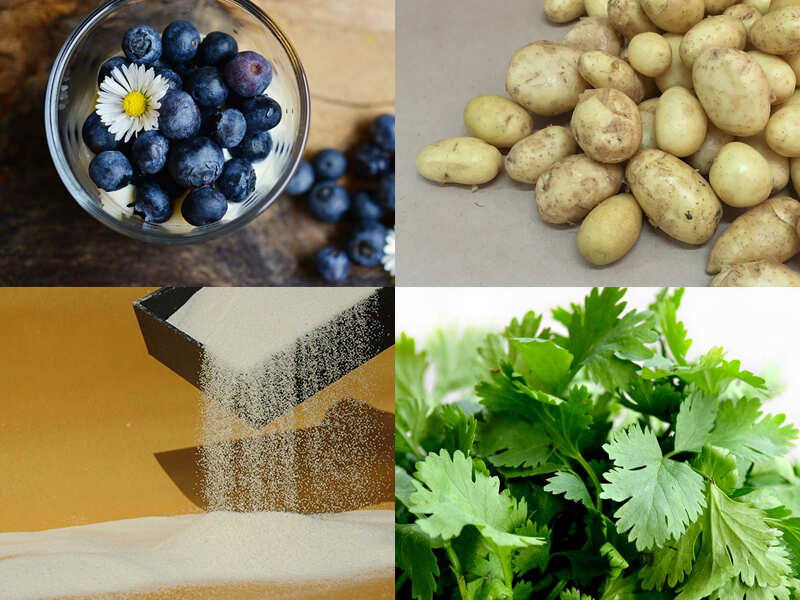 These 10 tricks will help you preserve your food for long