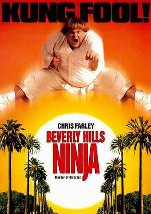 Beverly Hills Ninja Movie: Showtimes, Review, Songs, Trailer, Posters ...