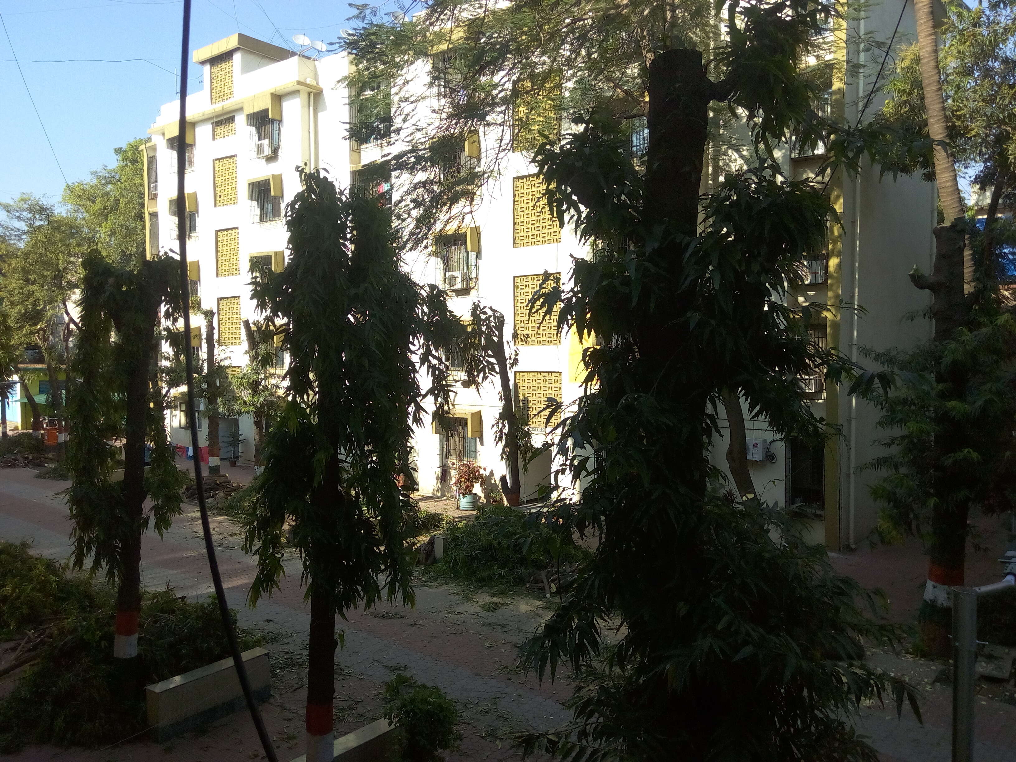 ILLEGAL TREE CUTTING IN ONGC COLONY VIDYAVIHAR - Times of India