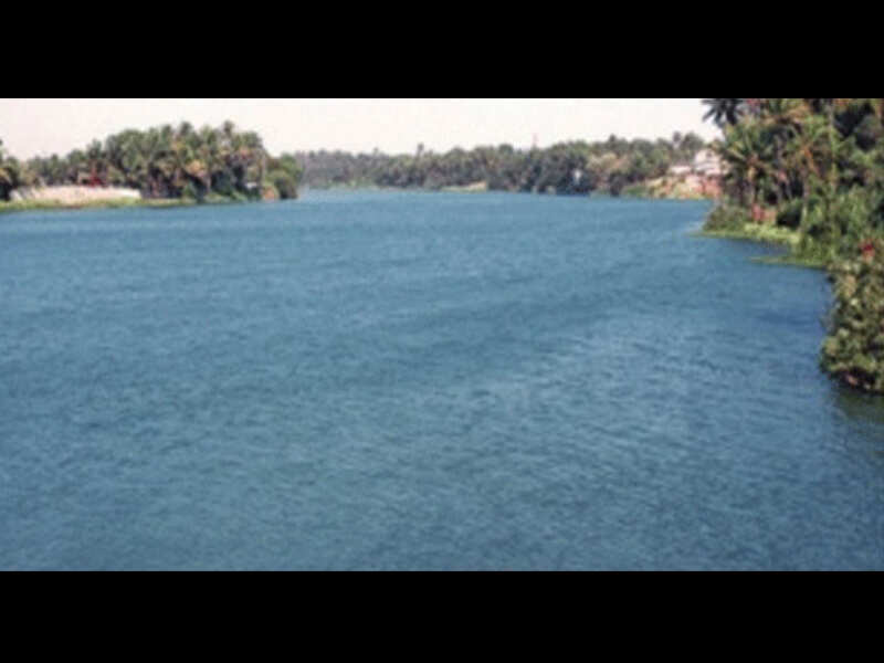 Periyar river: Periyar River turns black again | Kochi News - Times of ...