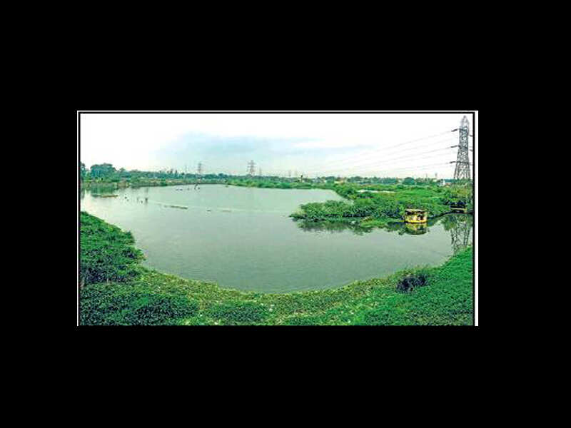 Tamil Nadu government plans to convert water bodies to deep storage ...