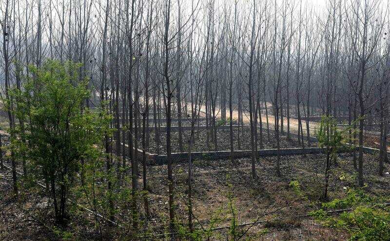 Anangpur dam: Dam key to Surajkund lake’s survival falling to land ...