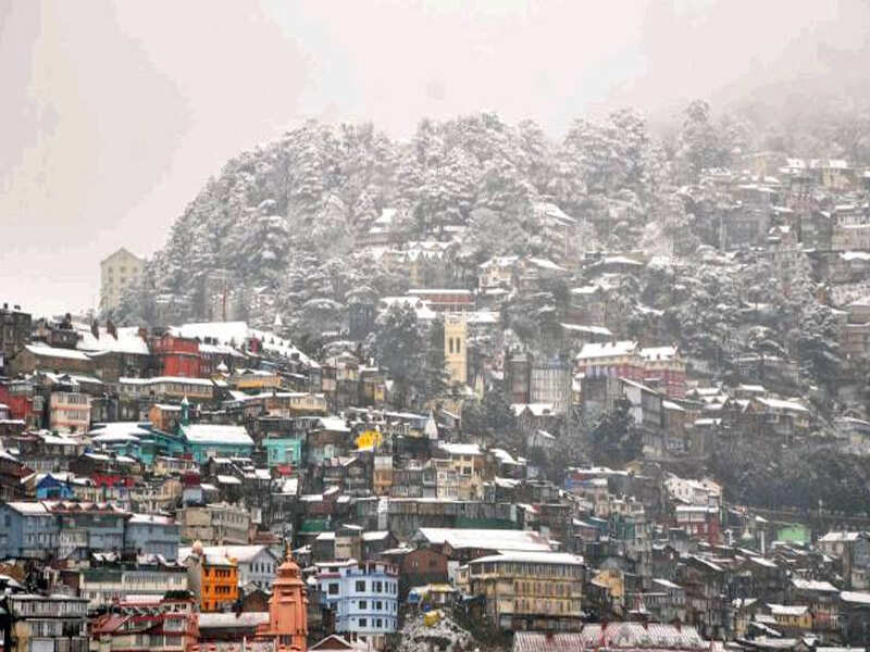 snowfall in Shimla: Snow dresses up Himachal in white, sharp dip in ...