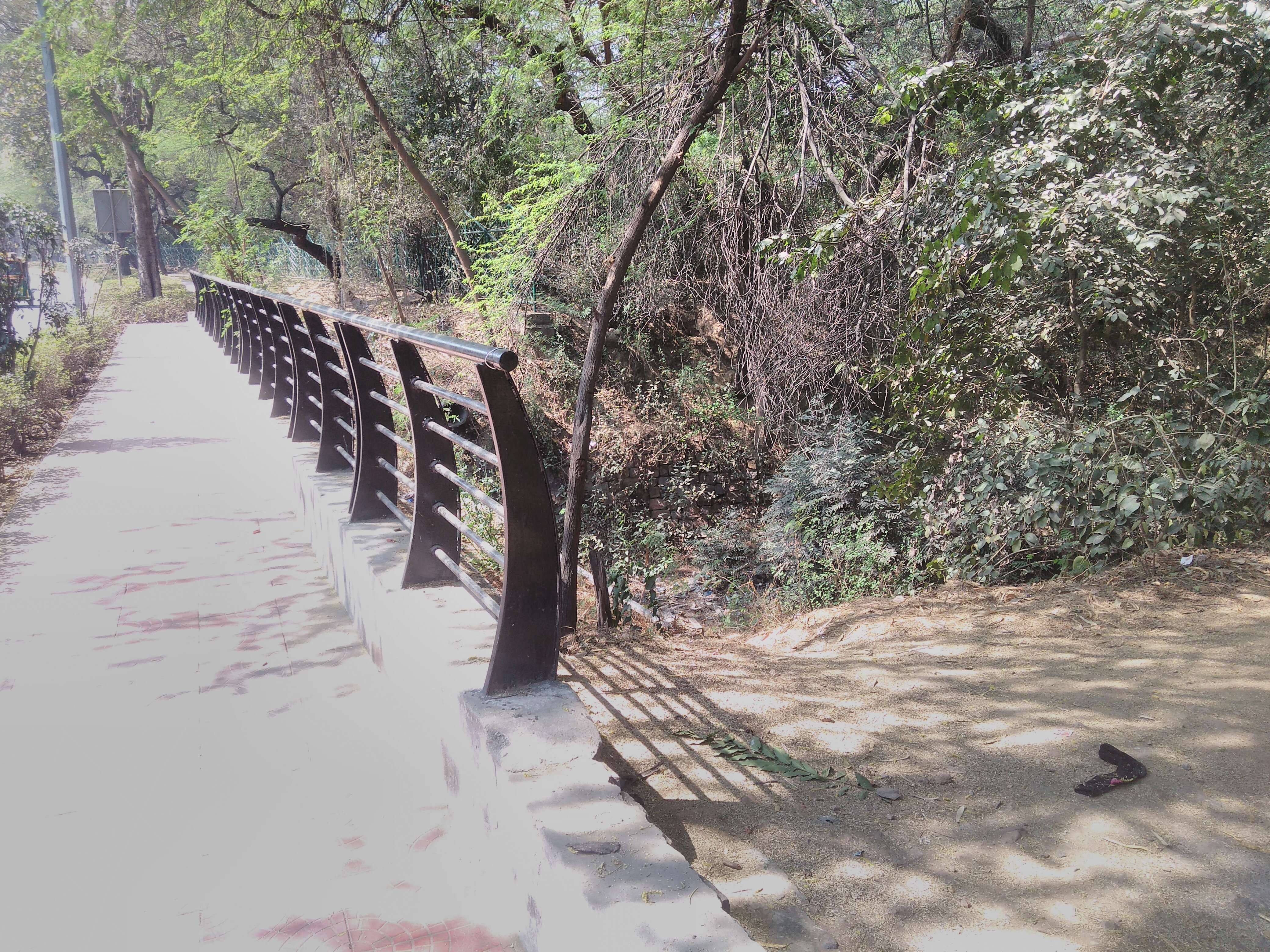 Free fall into drain - Times of India