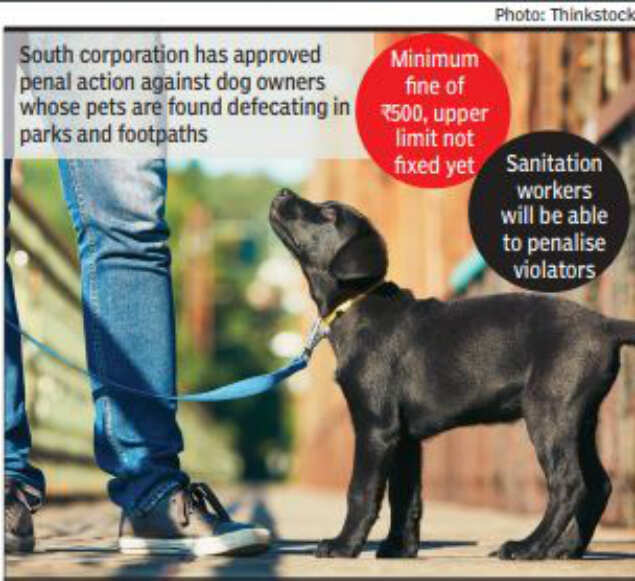 How Much Is The Fine For An Unregistered Dog