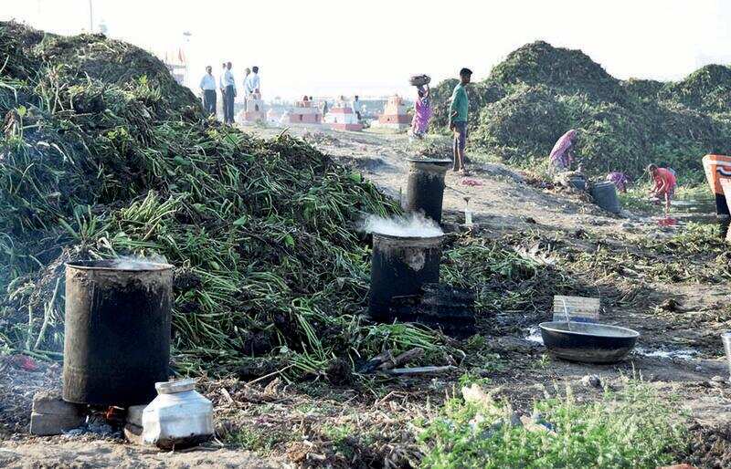 Tapi cleaning drive exposes flourishing liquor breweries | Surat News ...