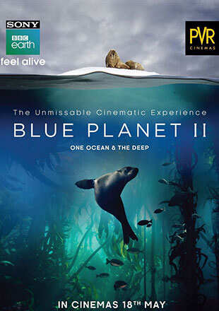 Blue Planet II - One Ocean And The Deep Movie User Reviews & Ratings ...