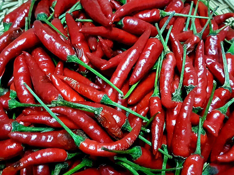 Bird's eye chili has suddenly become expensive! Here's what you must ...