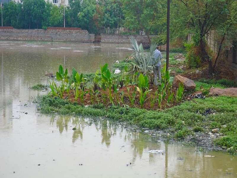 World Environment Day: A novel effort to revive the Kudikanta lake ...