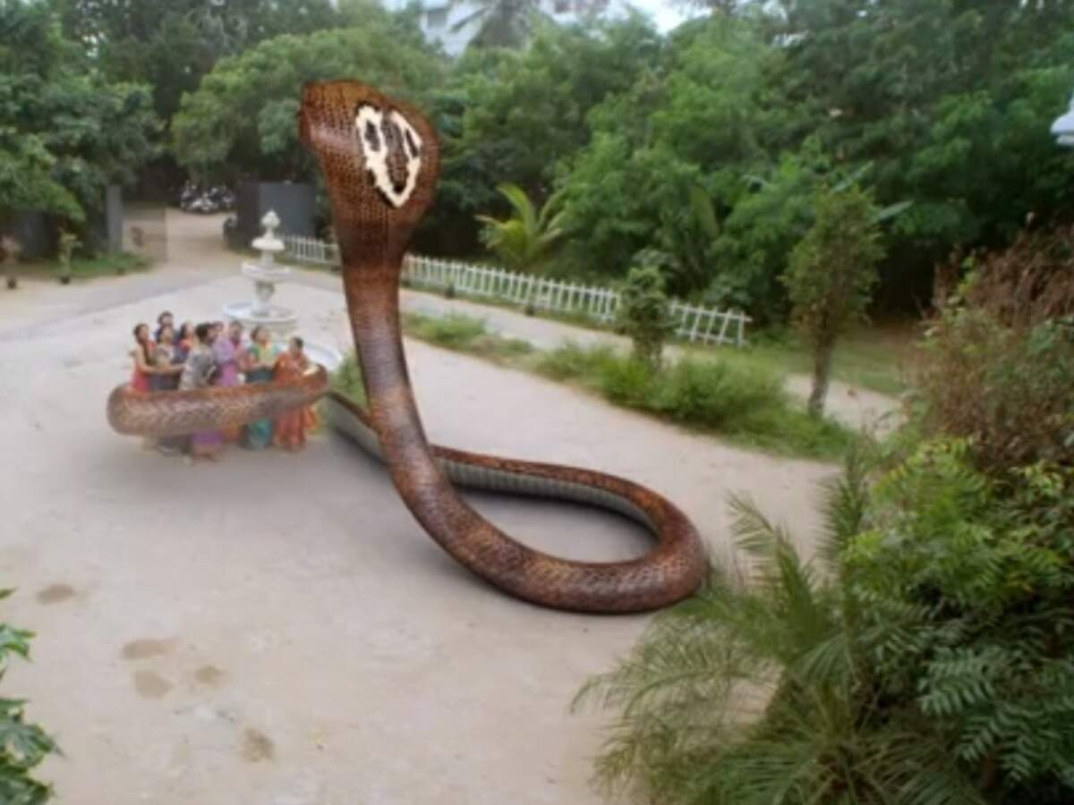 Nandini written update, December 18, 2018: Namboothiri stops Nandini ...