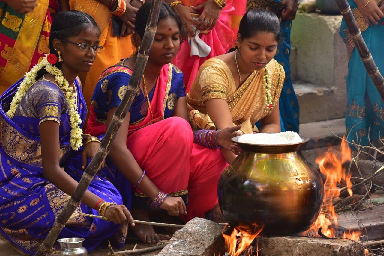 Pongal: Tamizhar Thiruvizha to begin in Coimbatore on Tuesday ...