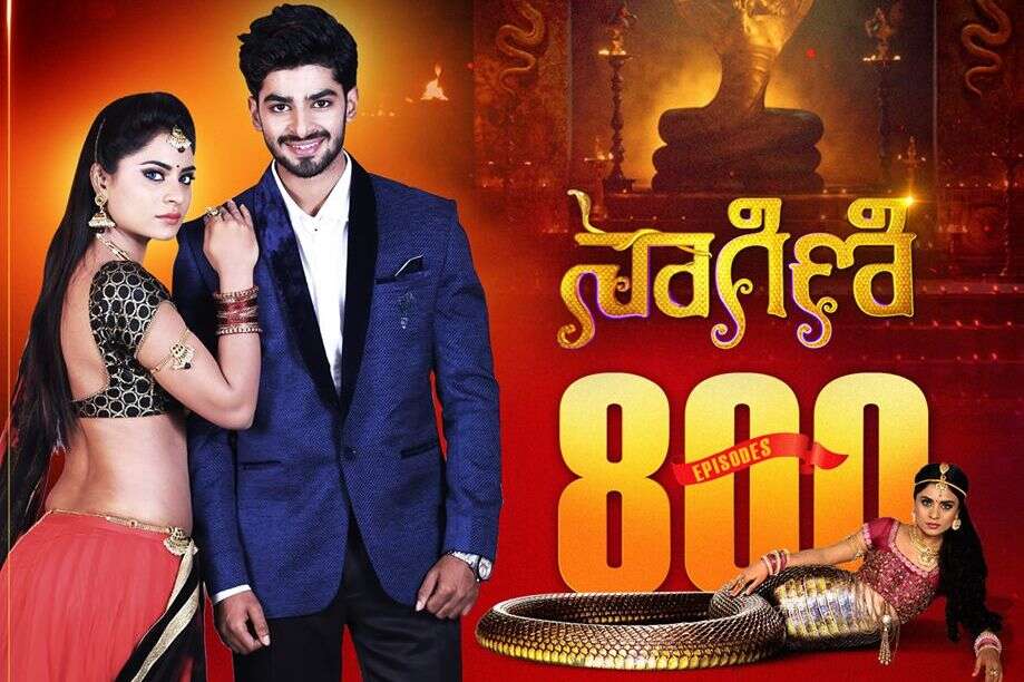 Naagini serial completes 800 episodes - Times of India