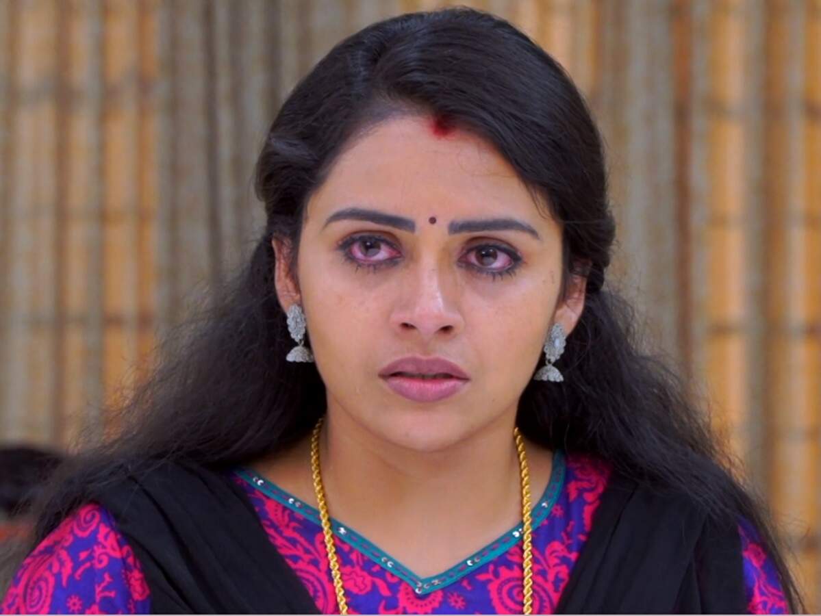 malayalam serial: Seetha Kalyanam written update, March 11, 2019 ...