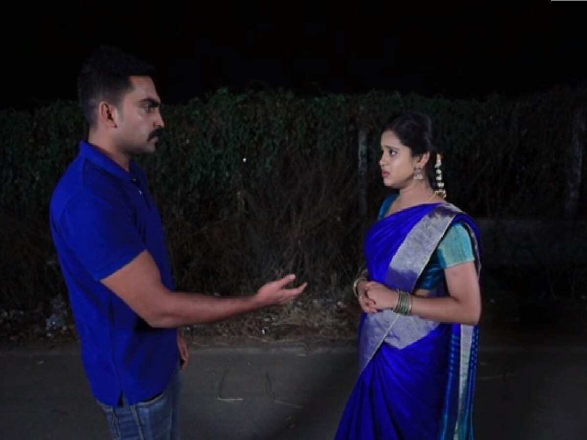 Putta Gowri Madve: Putta Gowri Madve written update, March 18, 2019 ...